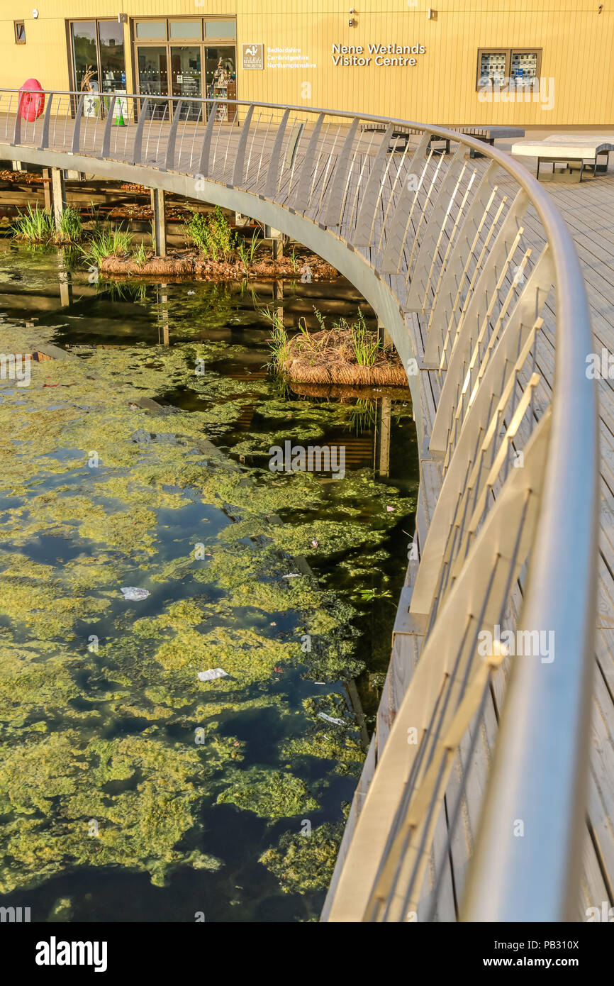 The boardwalk at Rushden Lakes Stock Photo - Alamy