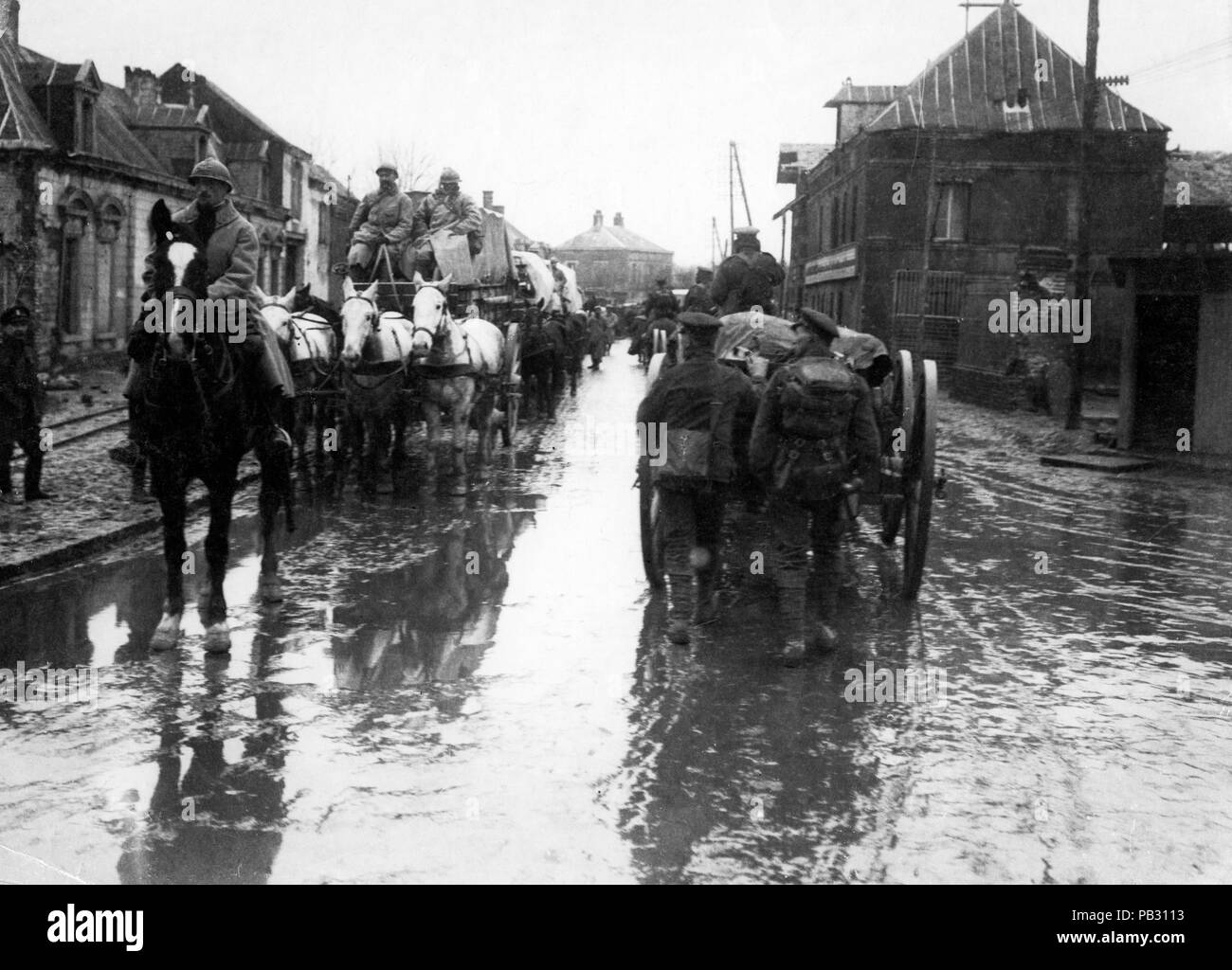 British horses wwi hi-res stock photography and images - Alamy