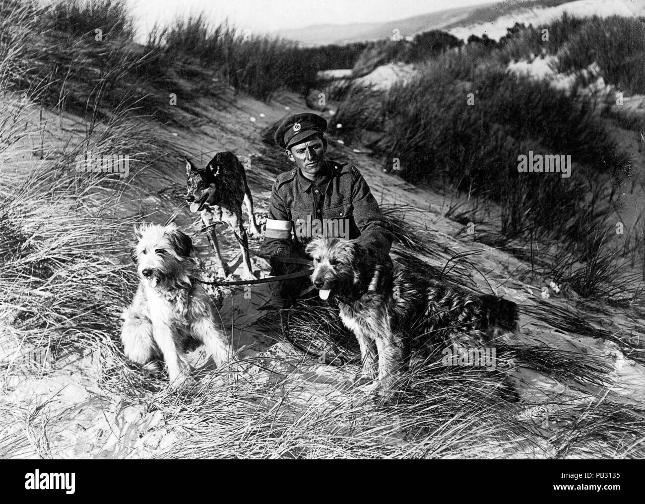 Official photograph taken on the British Western Front showing ...