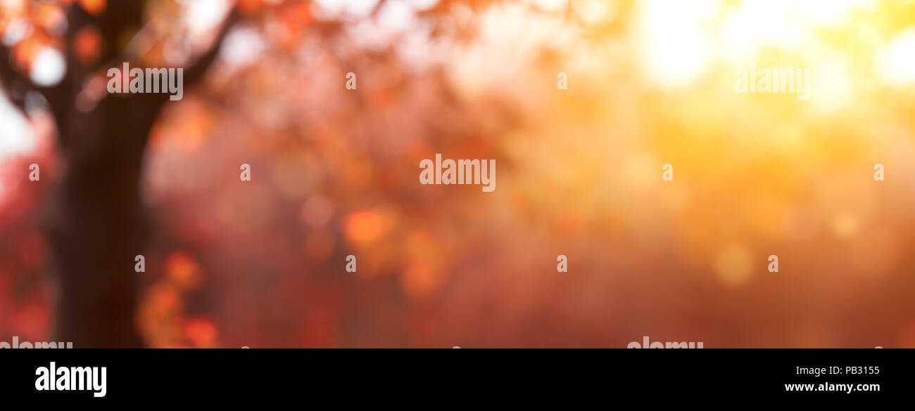 Blurred autumn leaves and trees background Stock Photo - Alamy