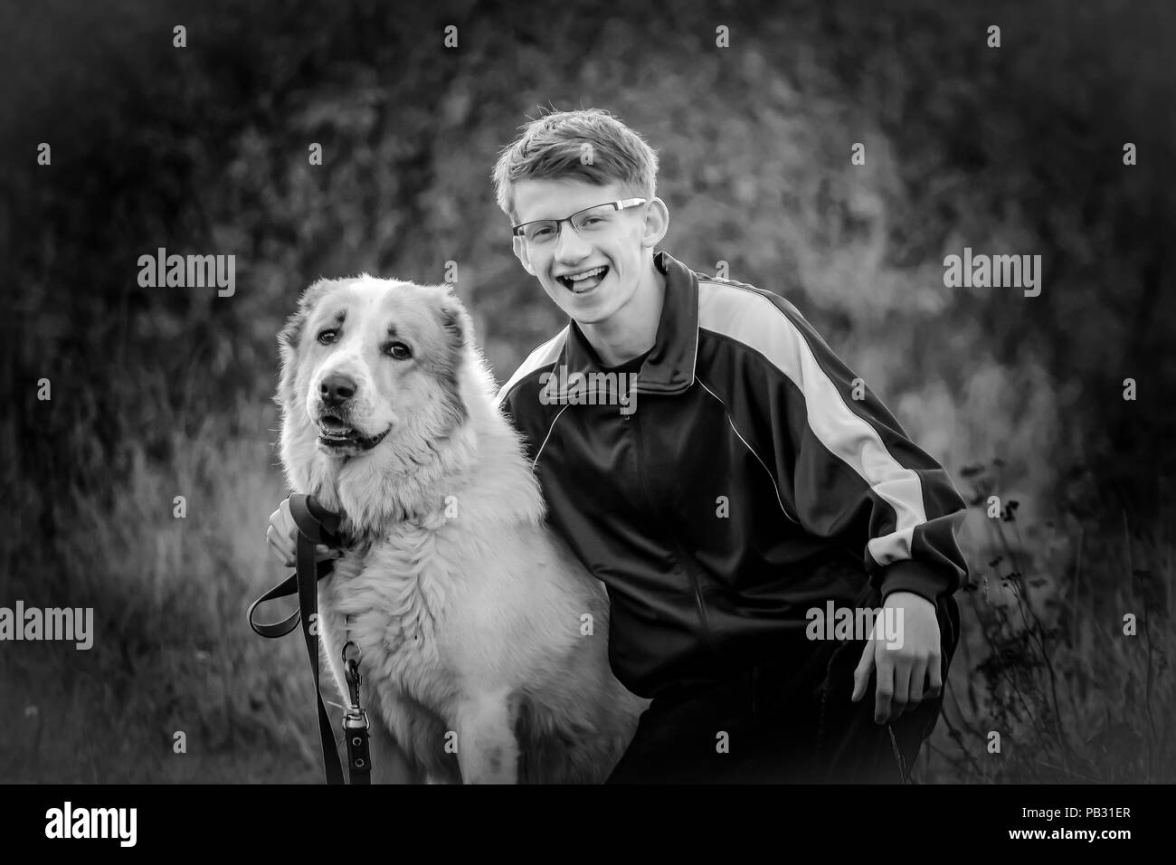 Alabai High Resolution Stock Photography and Images - Alamy