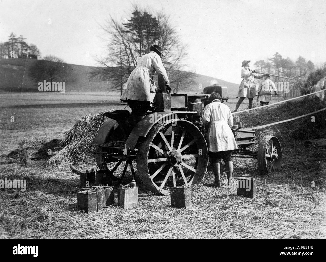 Official photograph showing female farmers (land girls) making hay ...