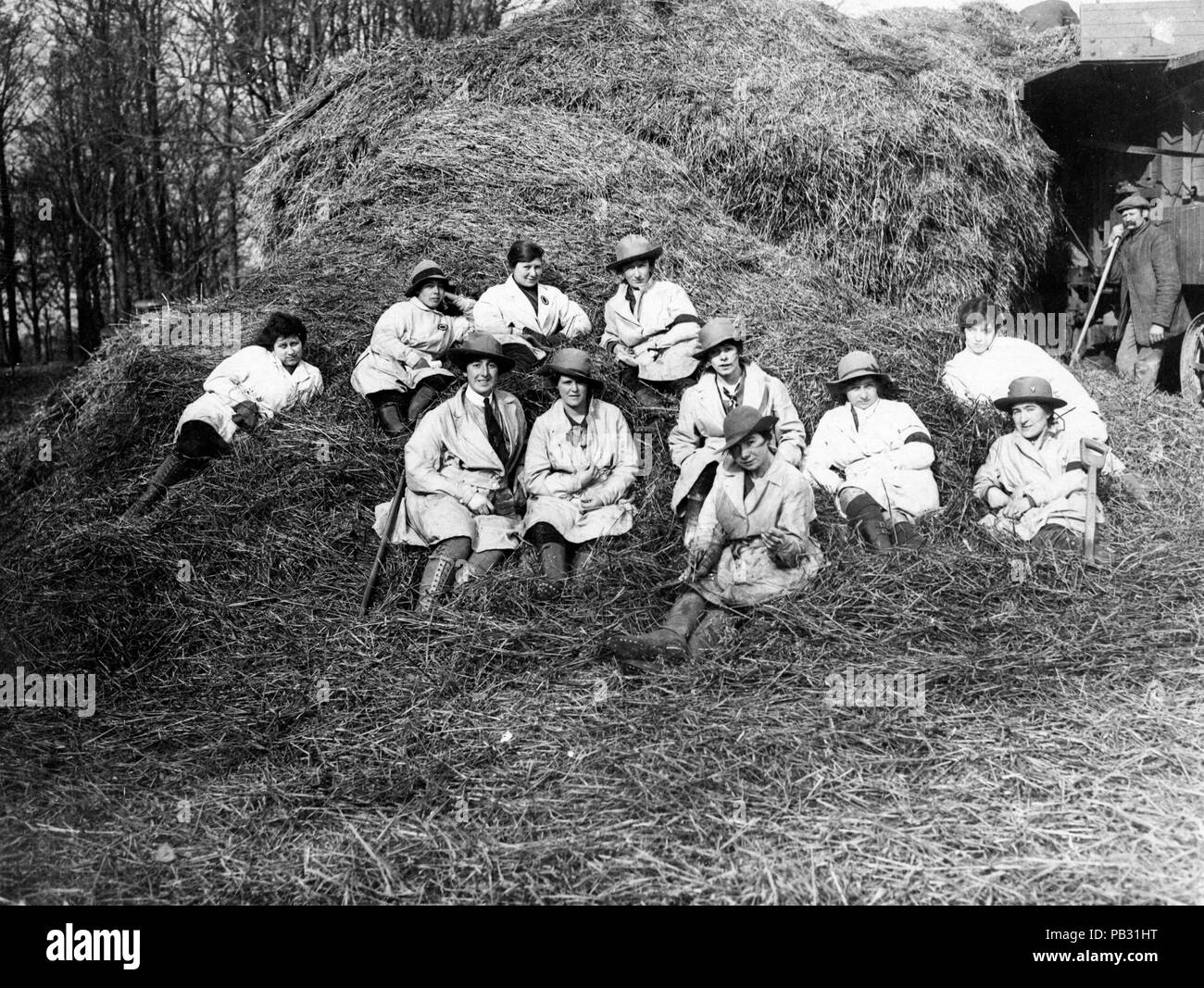 Official photograph showing female farmers (land girls) making hay ...