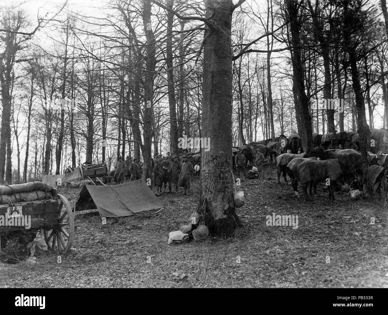 Official photograph taken on the British Western Front showing soldiers ...