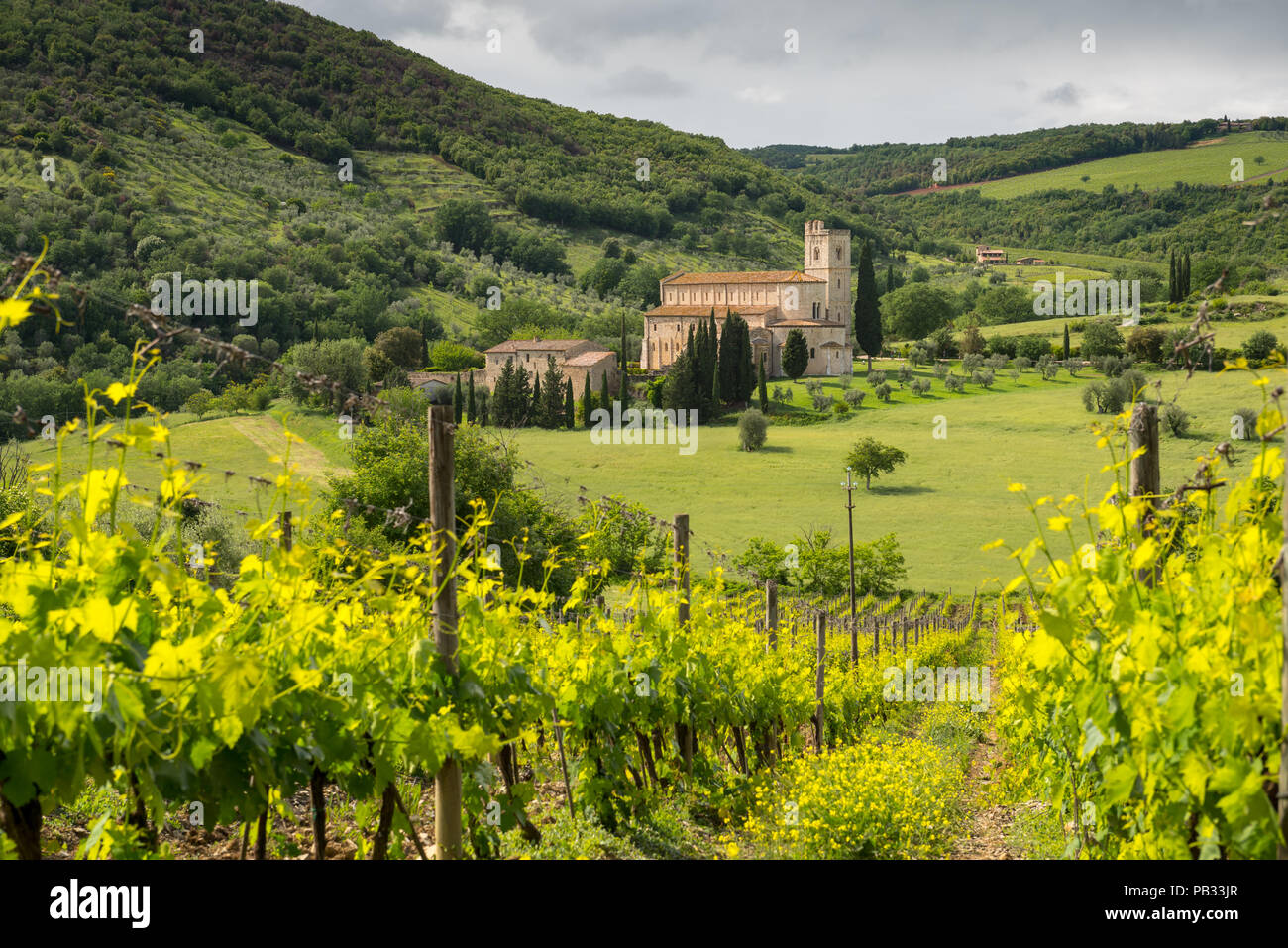 Abbey di san antimo in tuscany hi-res stock photography and images - Alamy