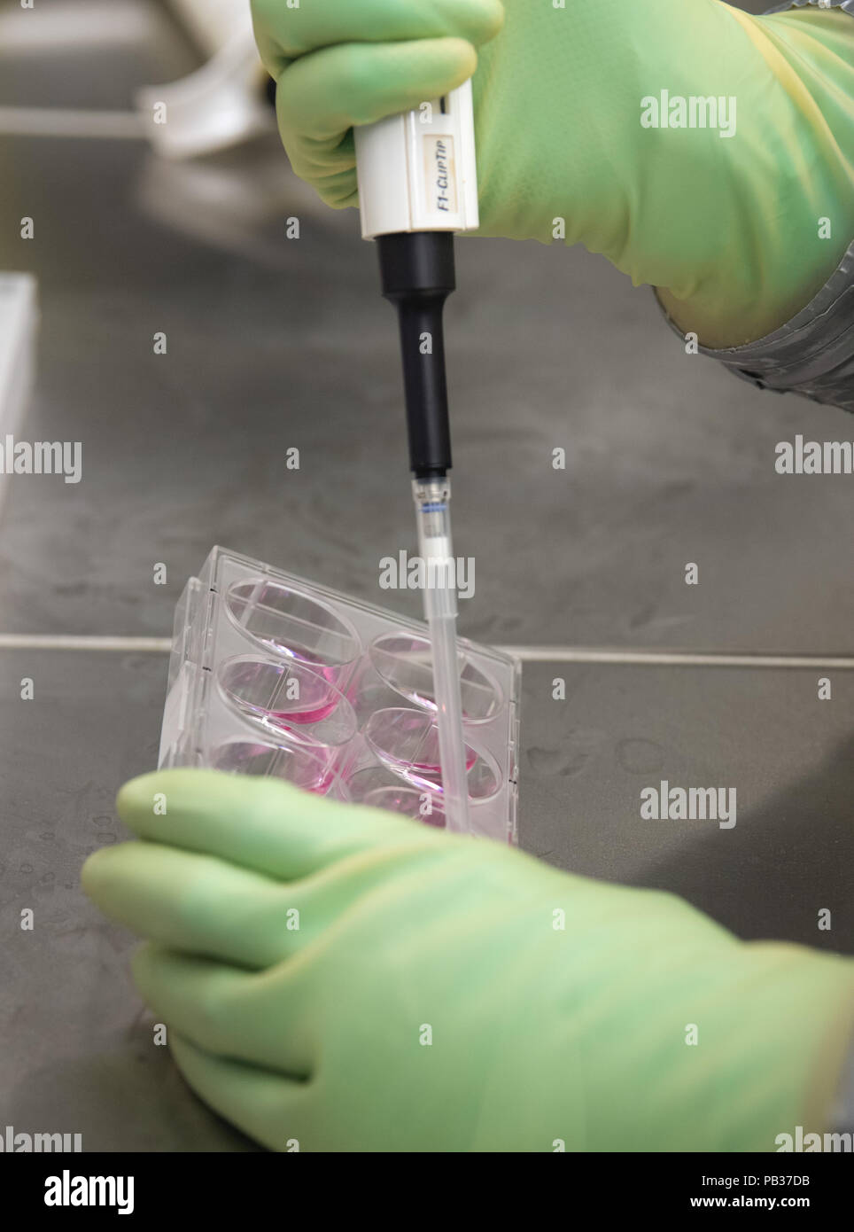 Berlin, Germany. 24th July, 2018. During a press meeting in the S4 ...