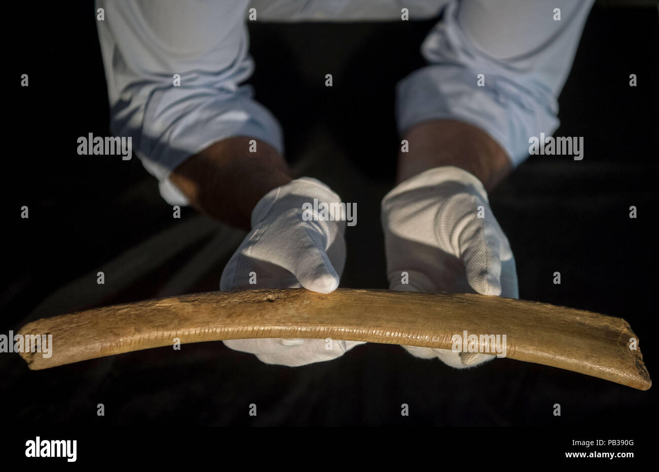 26 July 2018, Germany, Blaubeuren: The archaeologist Nicholas Conard ...