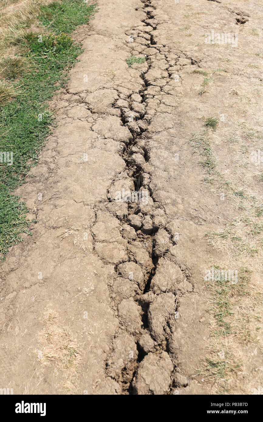 London. UK. 26th July 2018. The ground in Primrose Hill begins to crack ...
