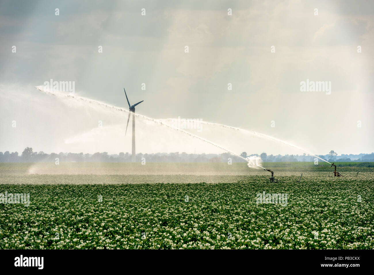 Fen farming hi-res stock photography and images - Alamy
