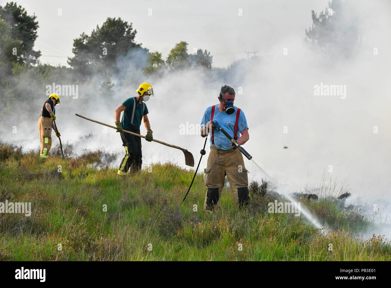 Dorset and wiltshire fire hi-res stock photography and images - Alamy