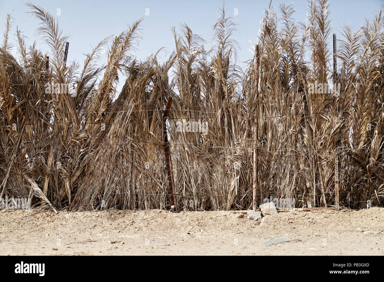 Barasti hi-res stock photography and images - Alamy