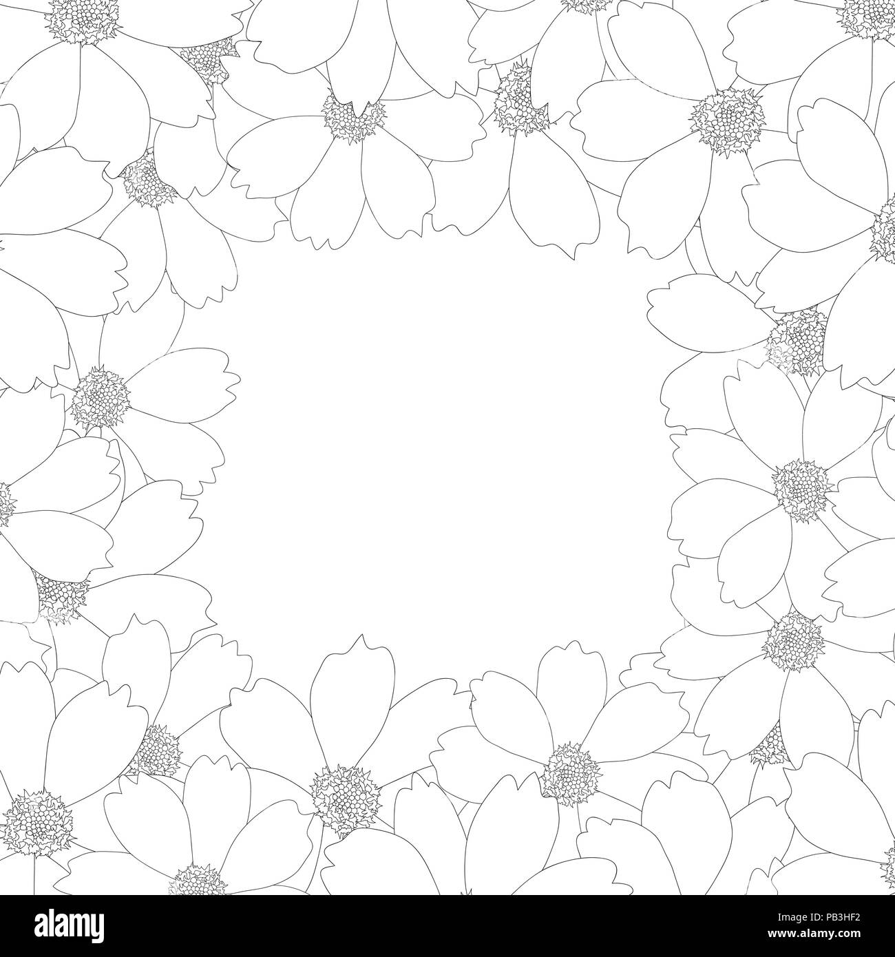 Cosmos Flower Outline Border. Vector Illustration Stock Vector Image ...