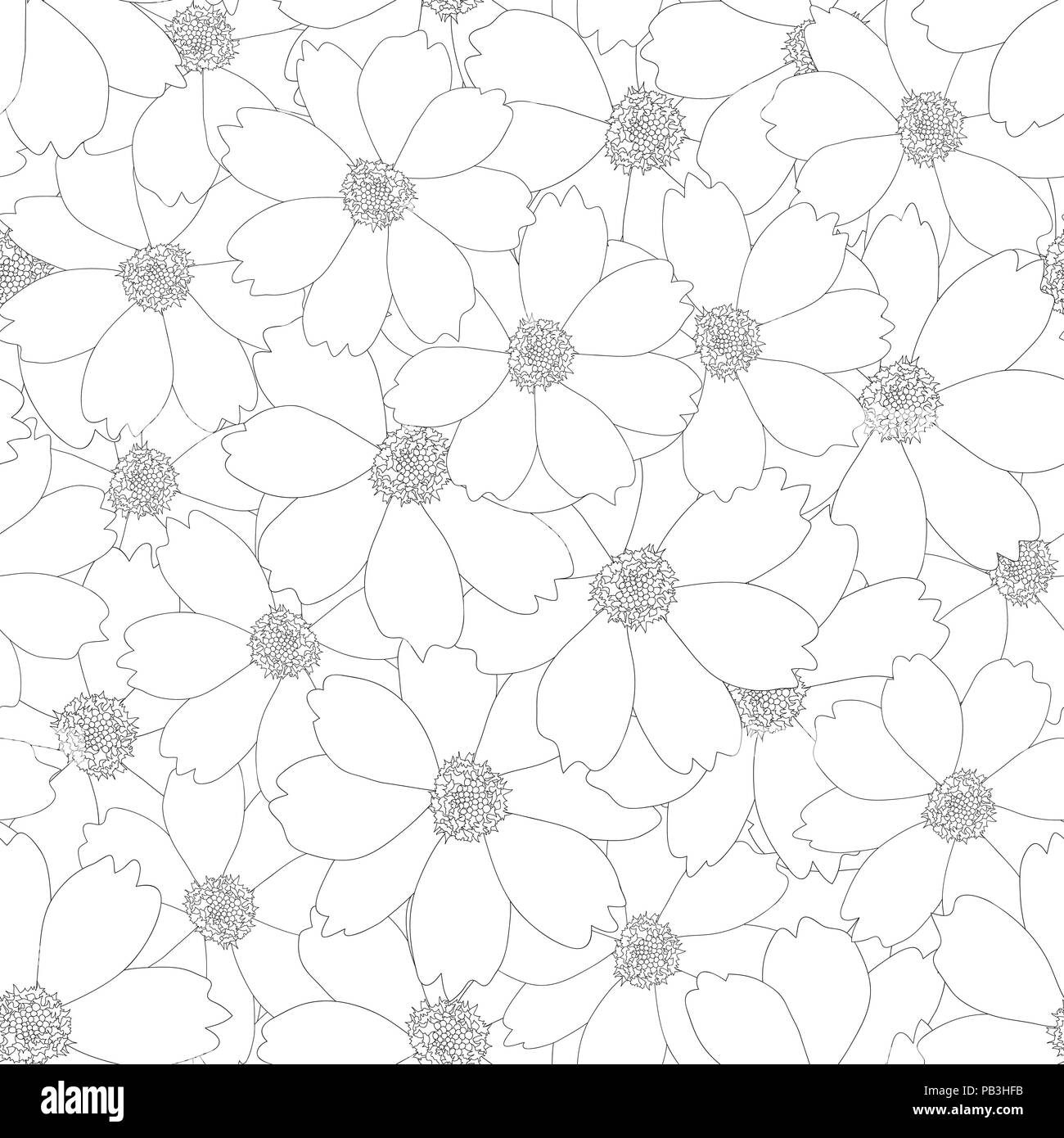 Cosmos Flower Outline Seamless Background. Vector Illustration Stock ...