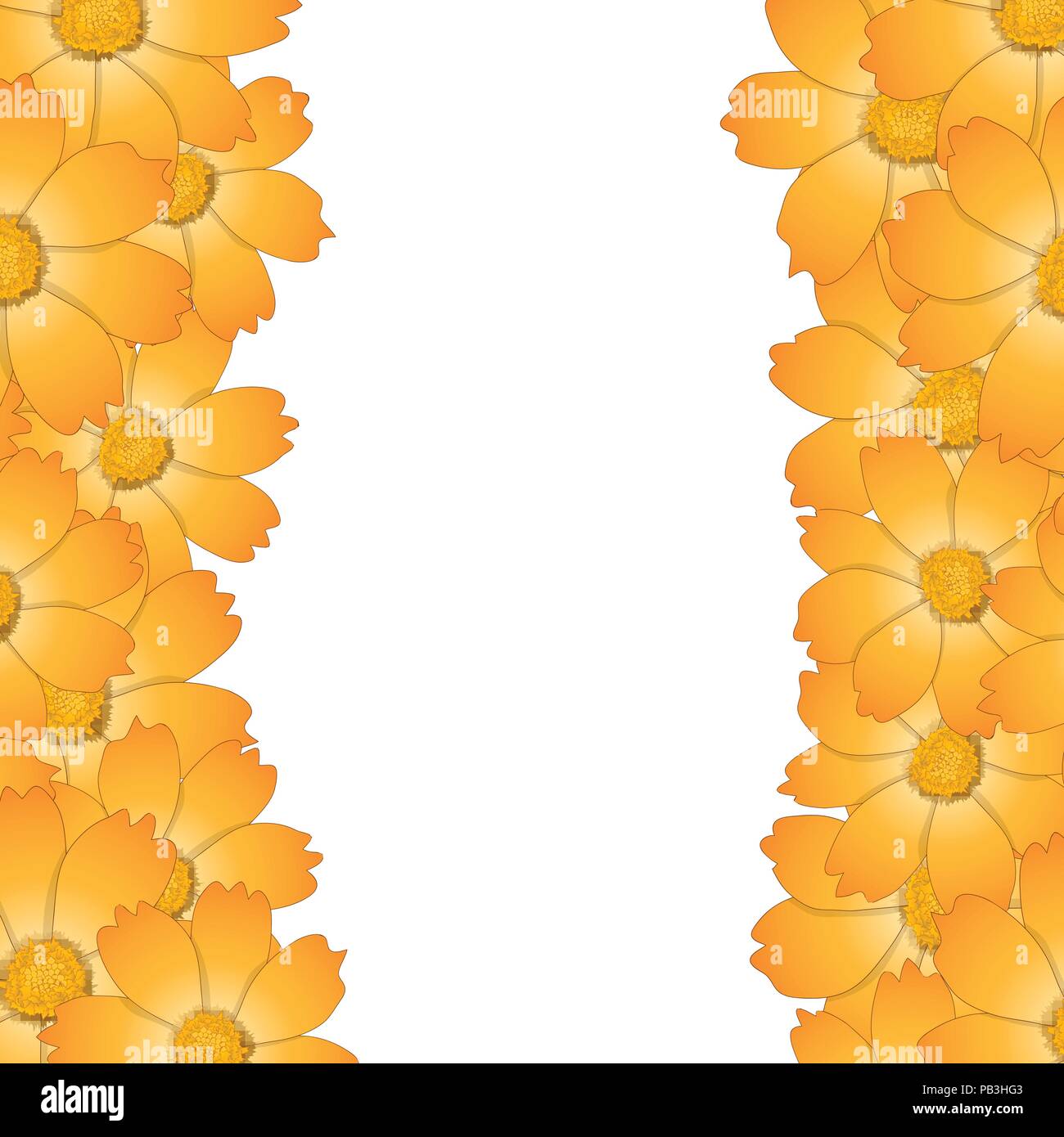 Orange Yellow Cosmos Flower Border. Vector Illustration Stock Vector ...