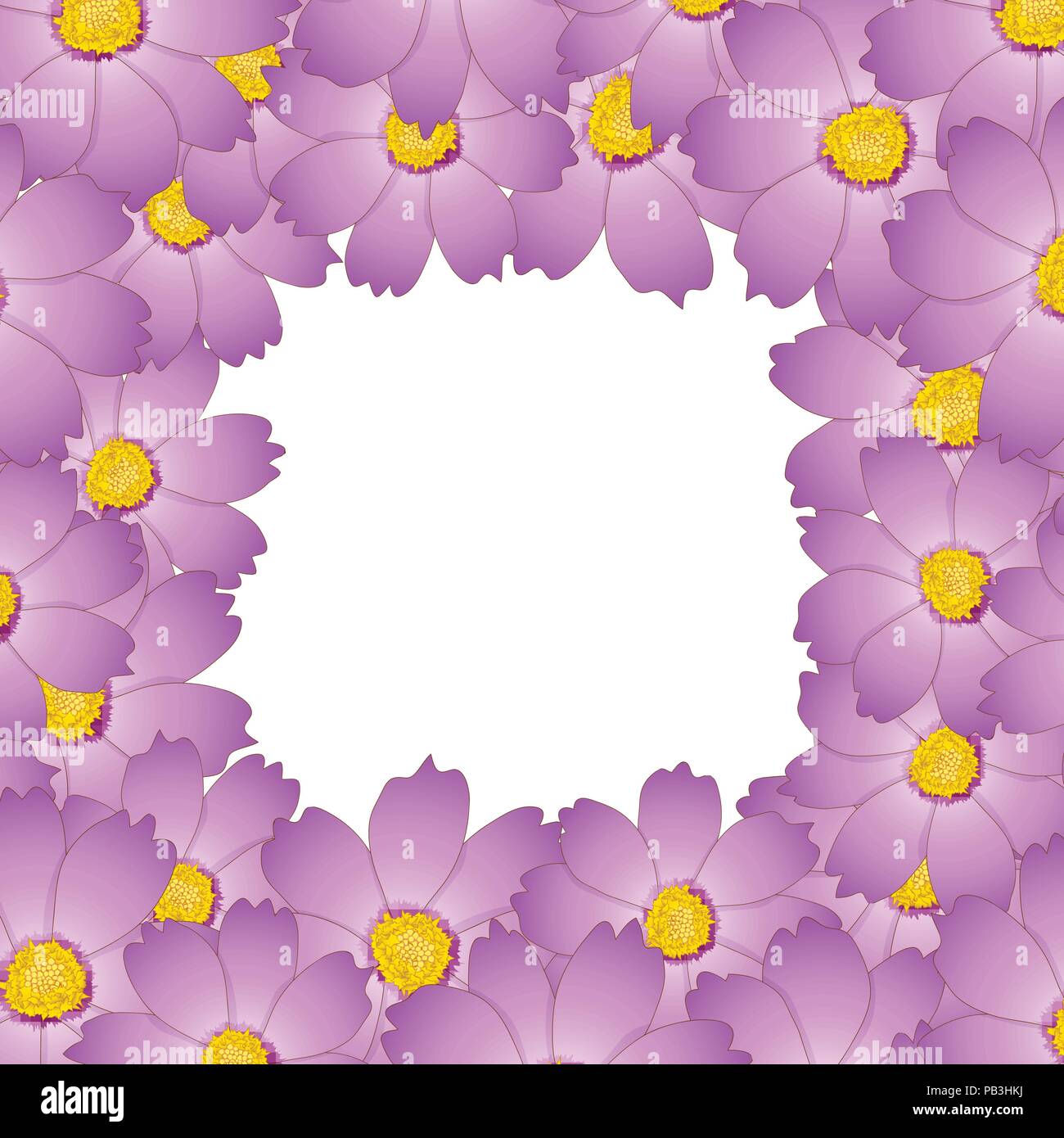 Pink Cosmos Flower Border. Vector Illustration Stock Vector Image & Art ...