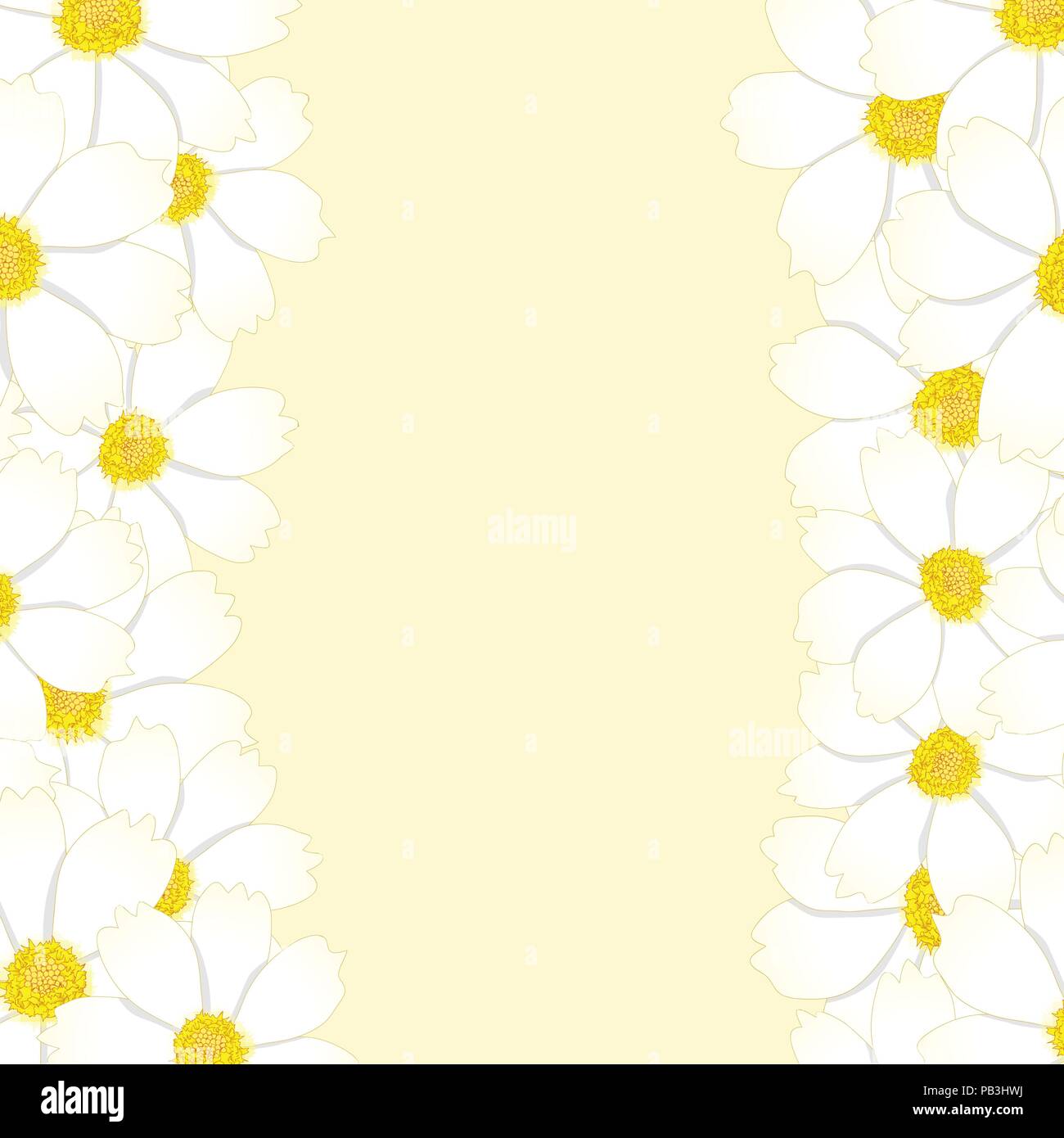 White Cosmos Flower Border. Vector Illustration Stock Vector Image ...