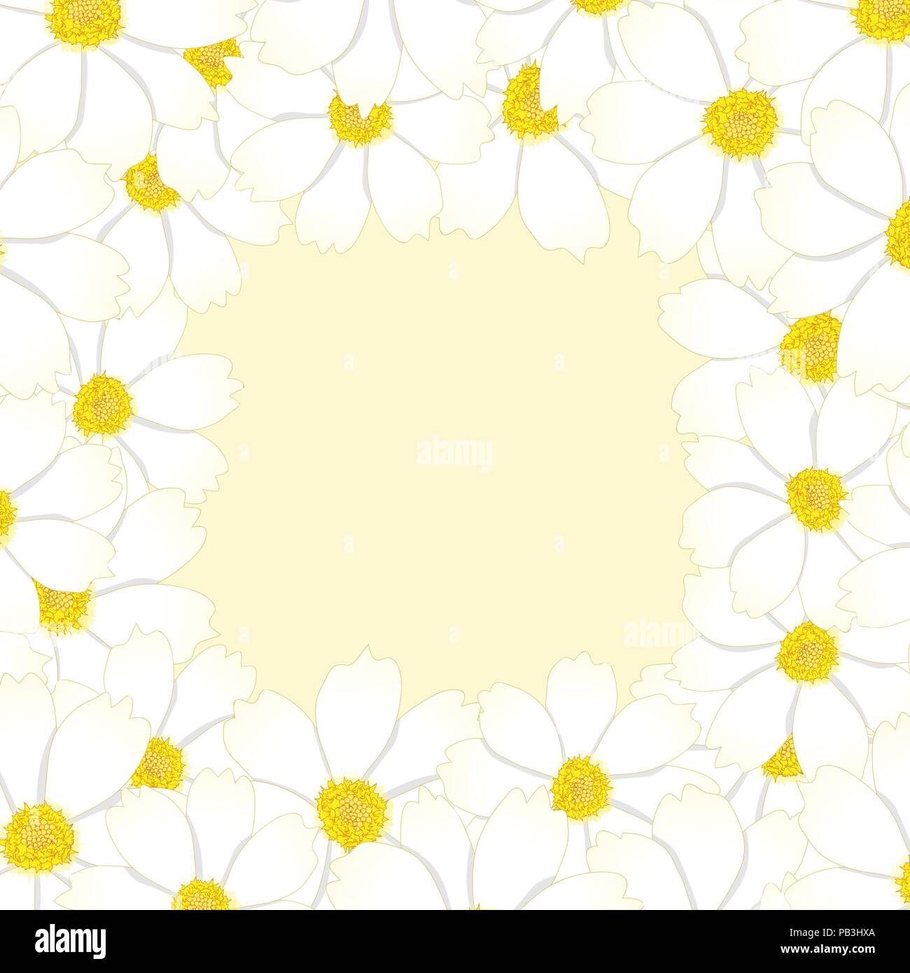 White Cosmos Flower Border. Vector Illustration Stock Vector Image ...