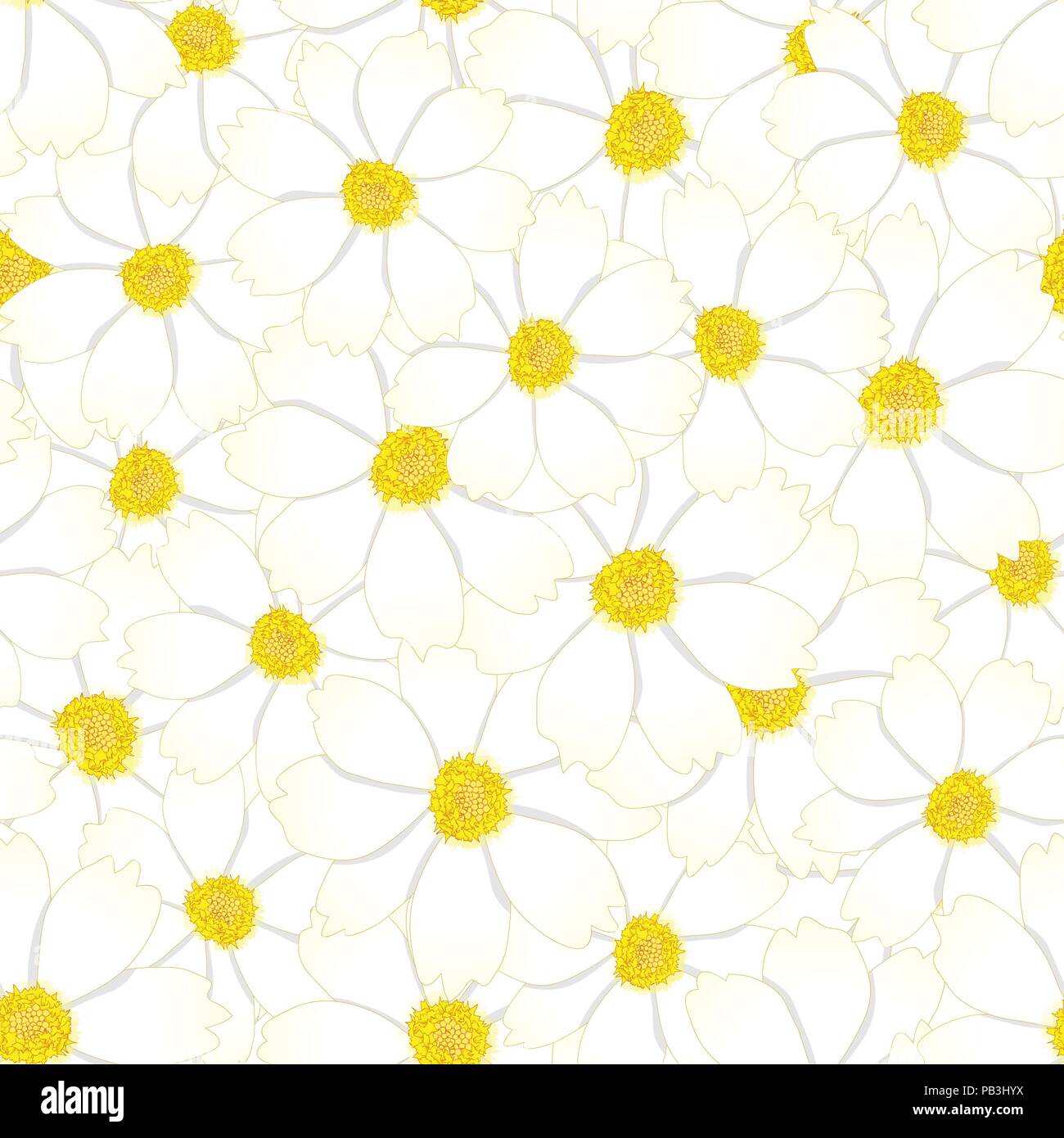 White Cosmos Flower Seamless Background. Vector Illustration Stock ...