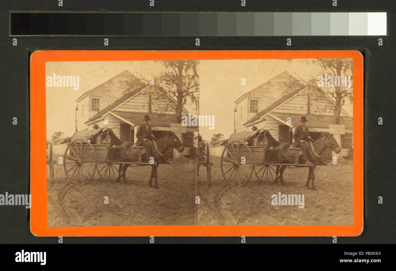 Mule pulling cart hi-res stock photography and images - Alamy