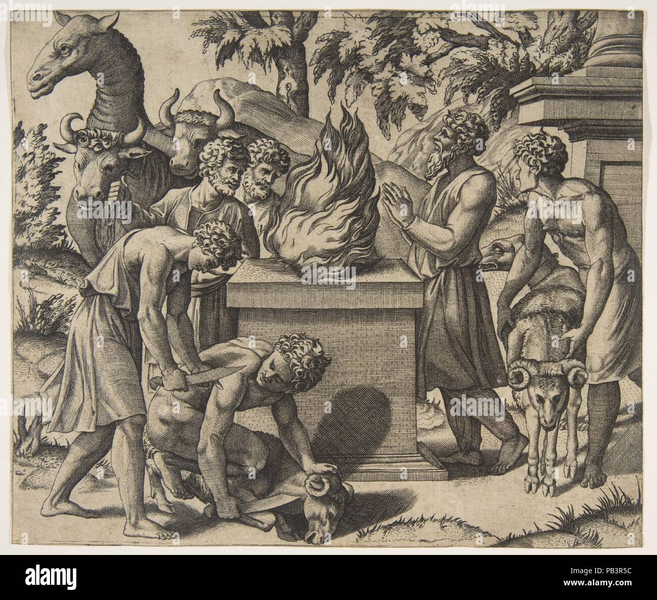 Sacrifice a ram hi-res stock photography and images - Alamy