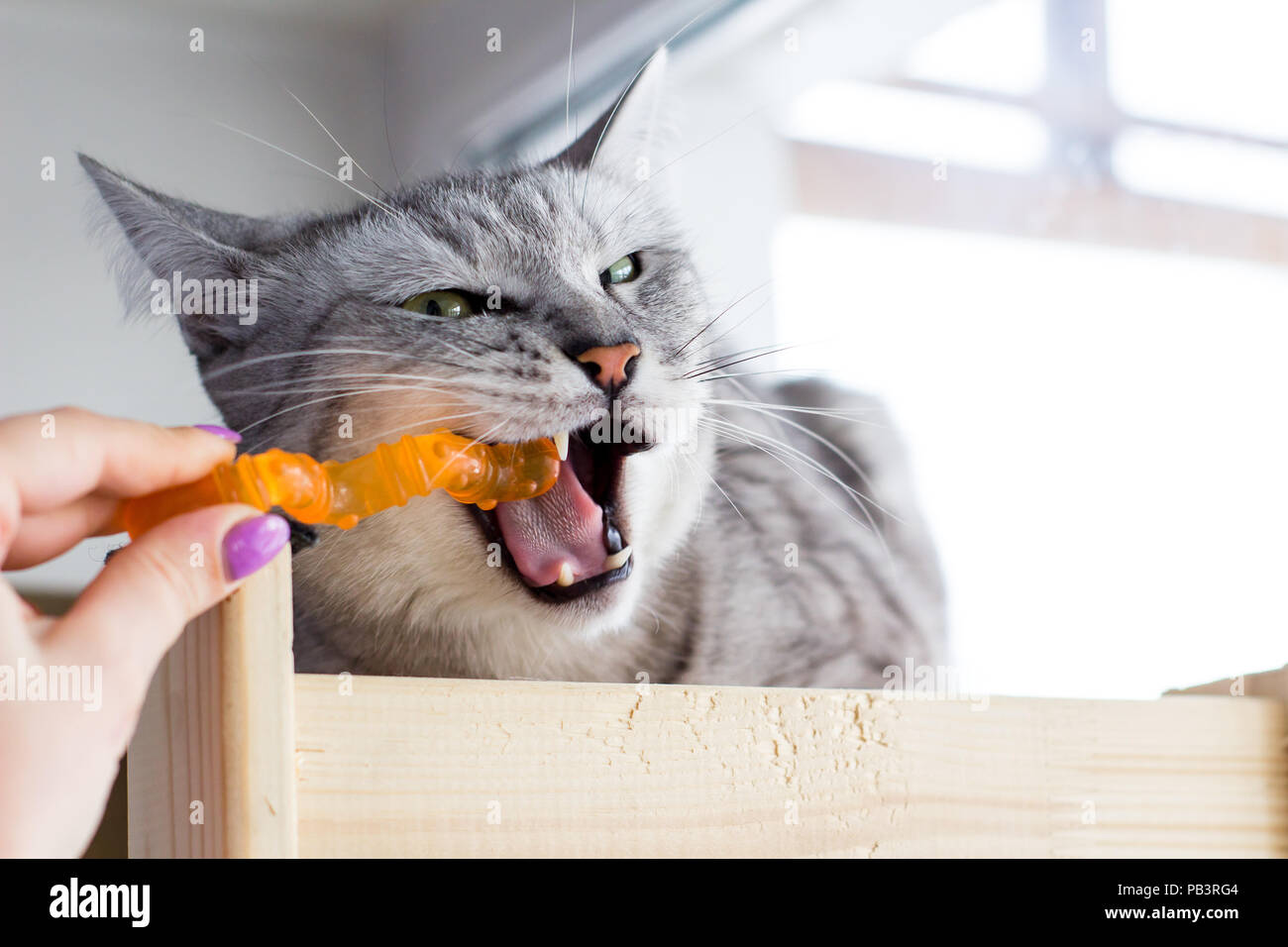 Winky face hi-res stock photography and images - Alamy