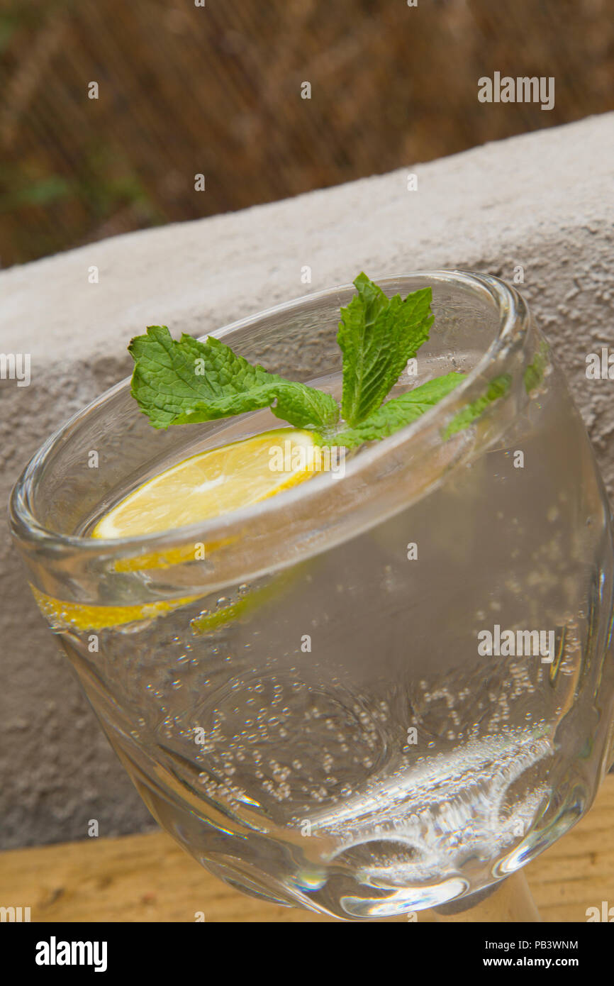 Still life of a glass of Gin & Tonic Stock Photo - Alamy