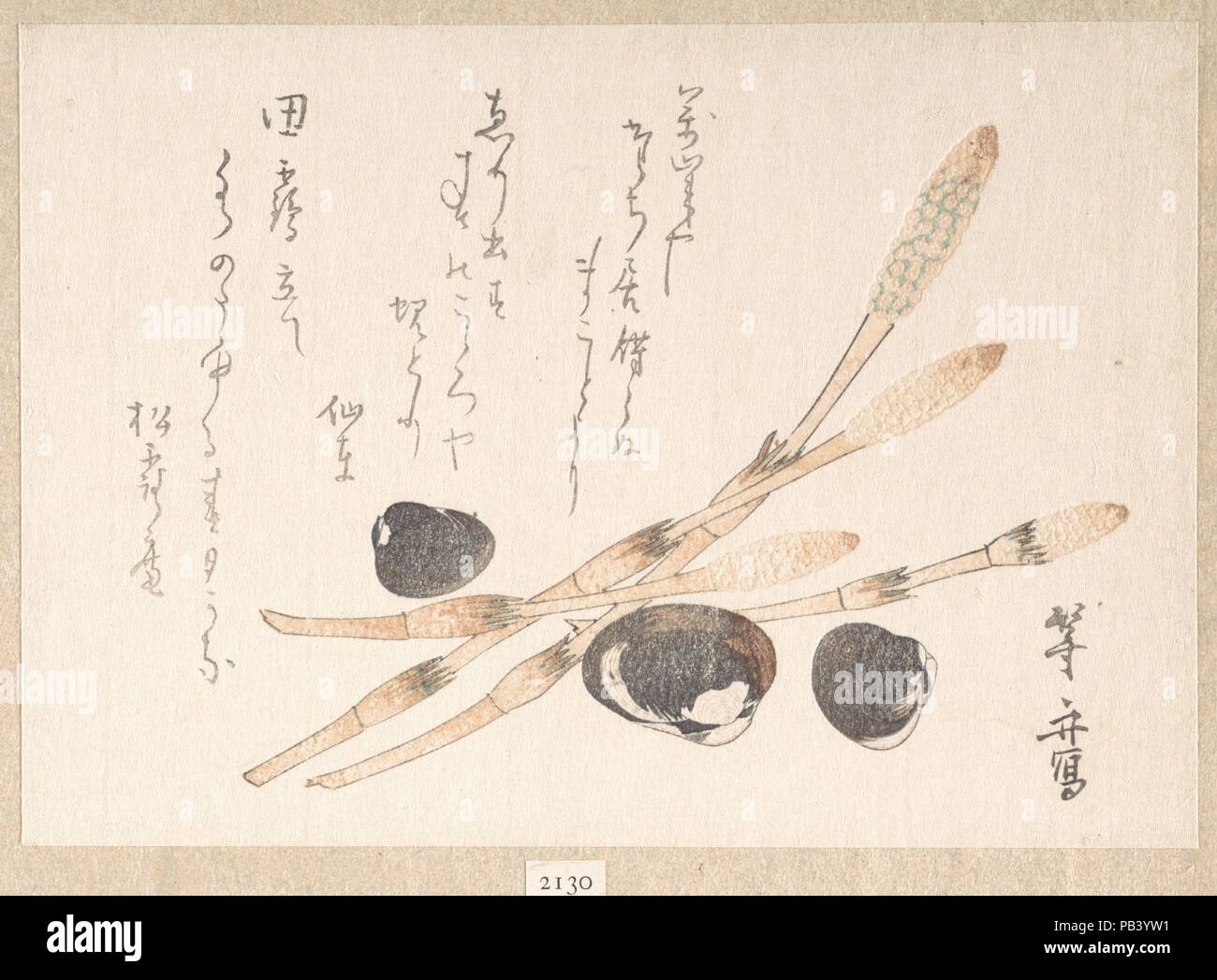 Shijimi shells hi-res stock photography and images - Alamy