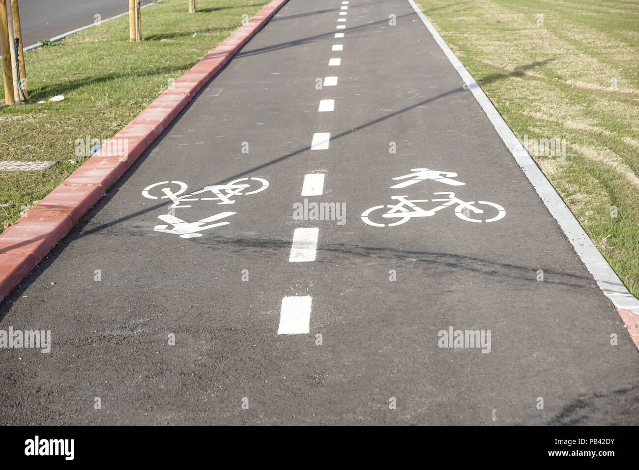 Pedestrian and bicycle riders sharing the street lanes with road ...