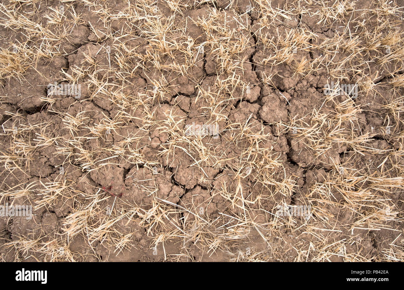 Soil cracking hi-res stock photography and images - Alamy