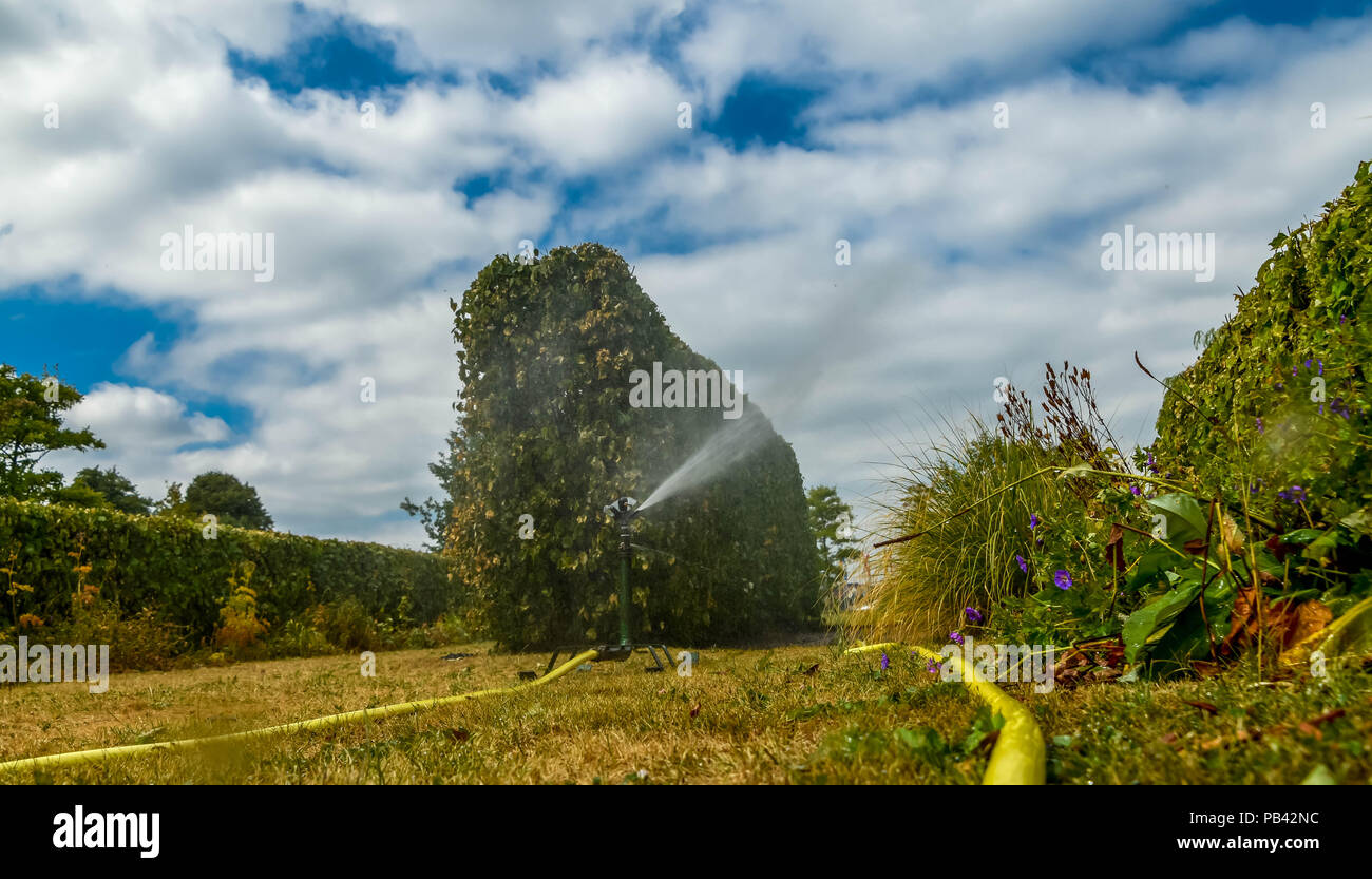 heat wave over europe. Record temperatures and harvest loss Stock Photo ...