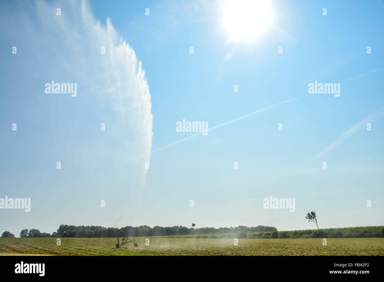 heat wave over europe. Record temperatures and harvest loss Stock Photo ...
