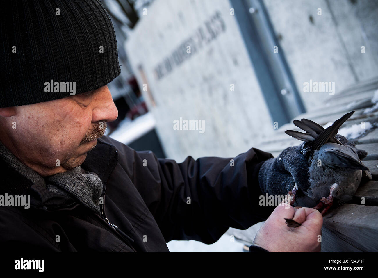 Operation wild hi-res stock photography and images - Alamy