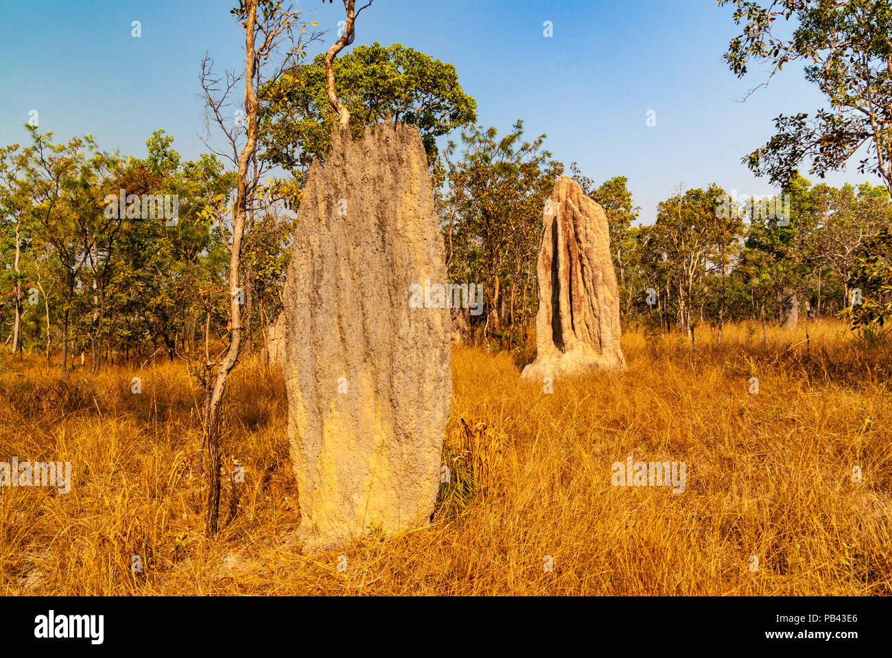 MAGNETIC TERMITE MOUNDS, LICHFIELD NATIONAL PARK, NORTHERN TERRITORIES ...