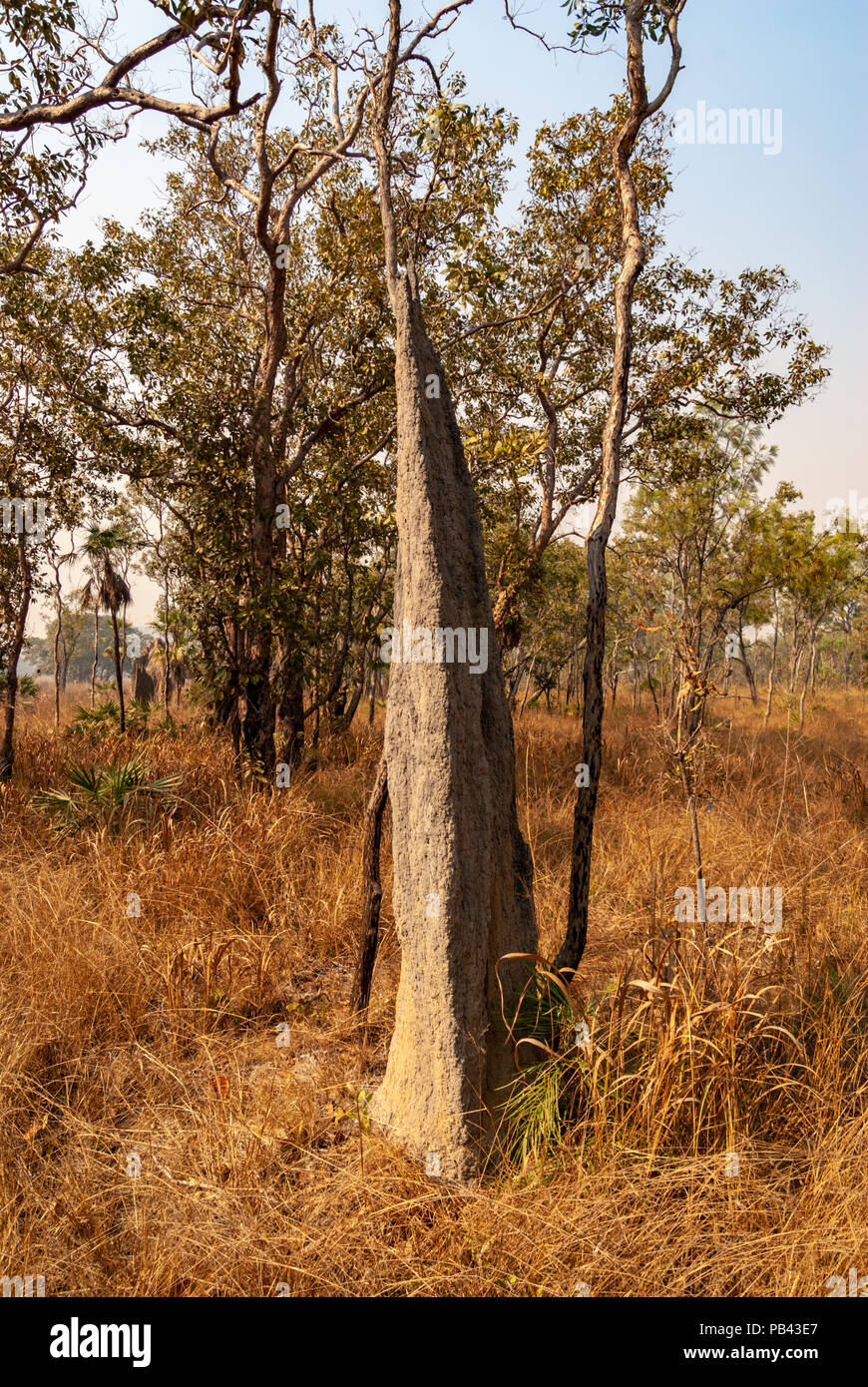 MAGNETIC TERMITE MOUNDS, LICHFIELD NATIONAL PARK, NORTHERN TERRITORIES ...