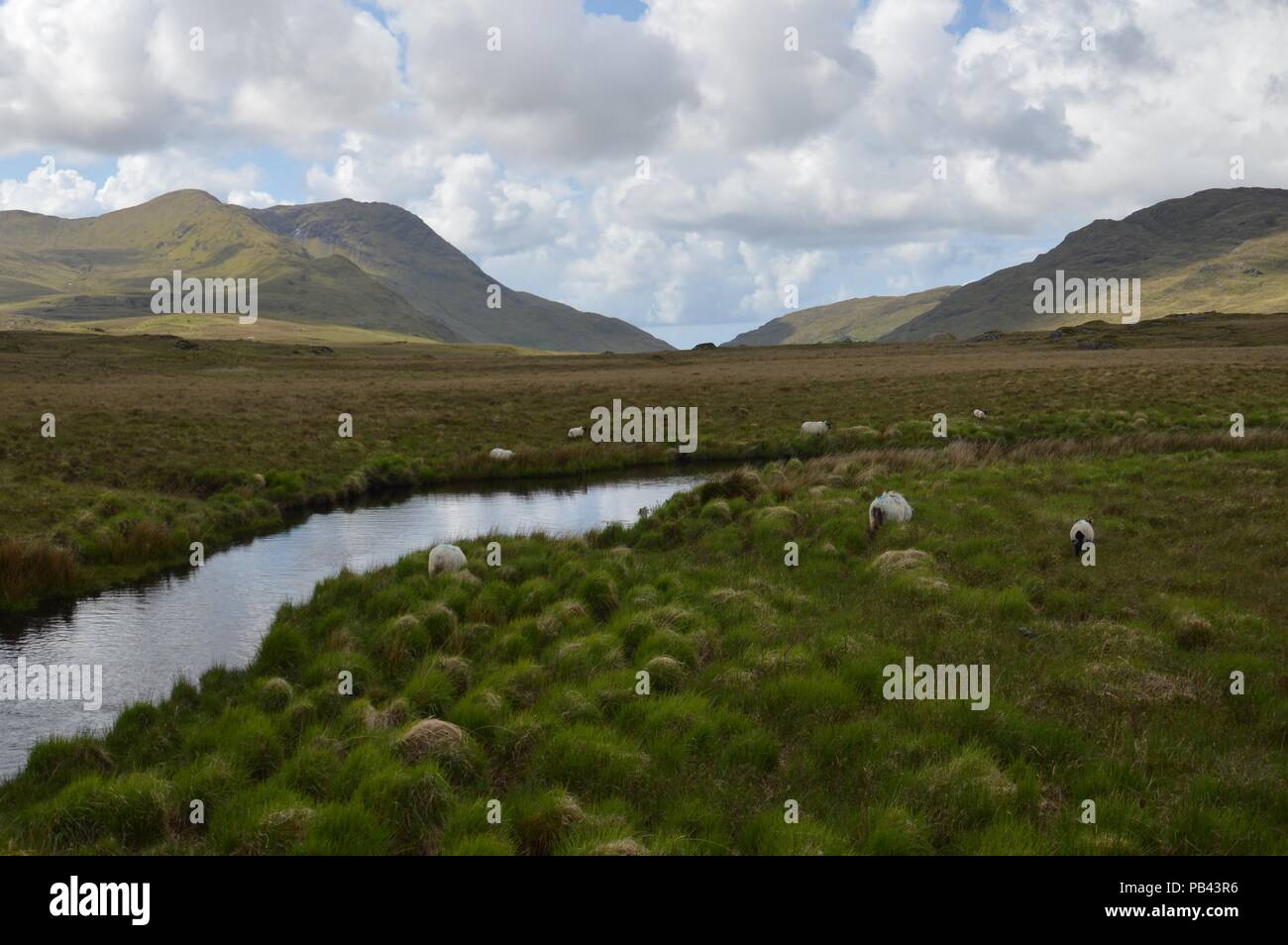 Typical irish landscape hi-res stock photography and images - Alamy