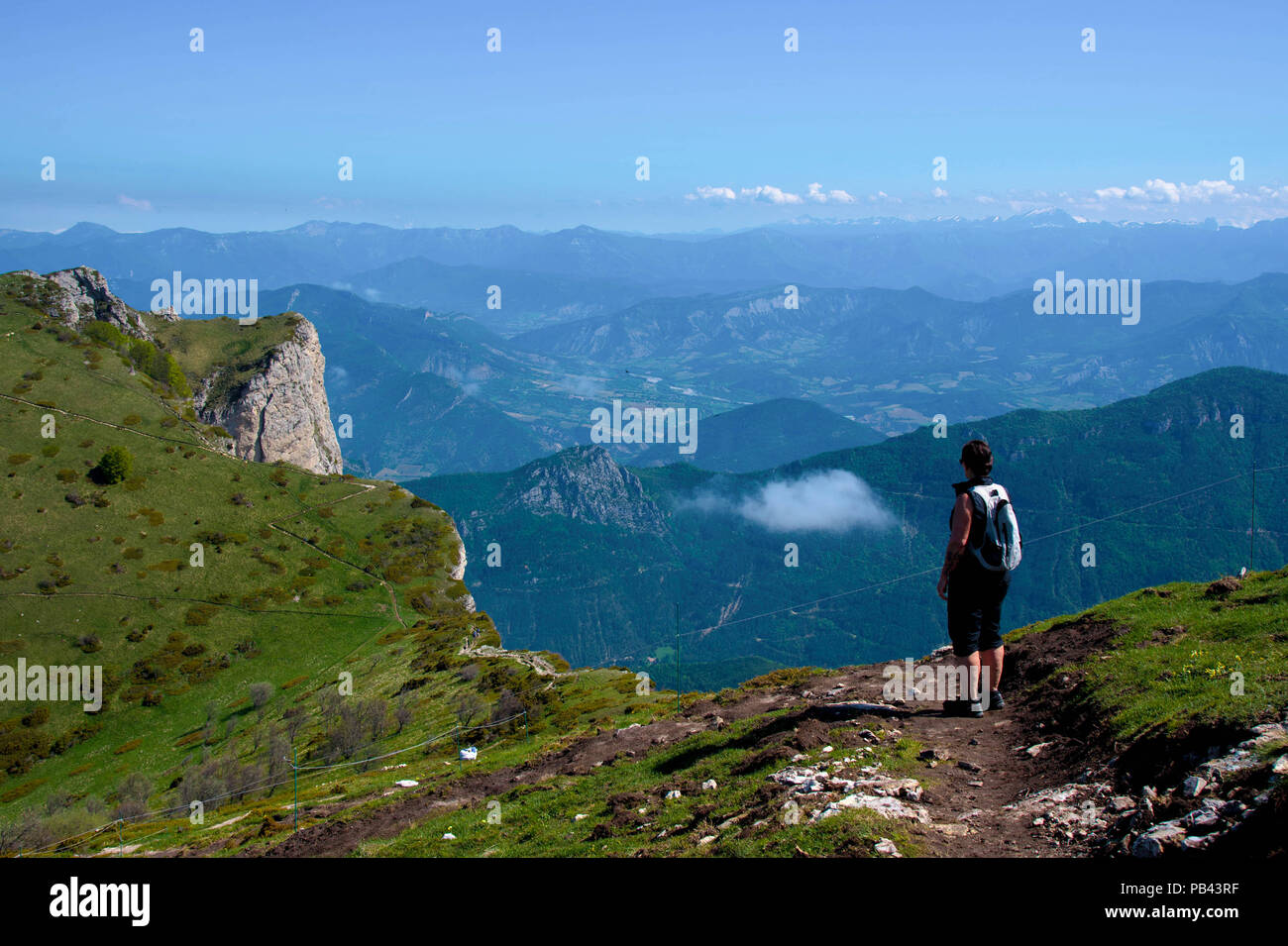 Becs hi-res stock photography and images - Alamy