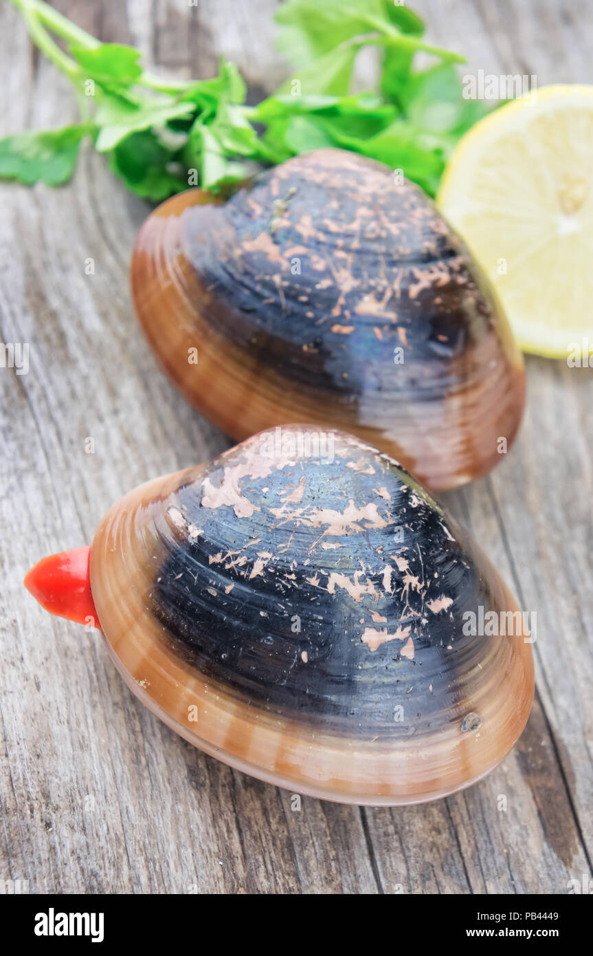 Molluscs food hi-res stock photography and images - Alamy