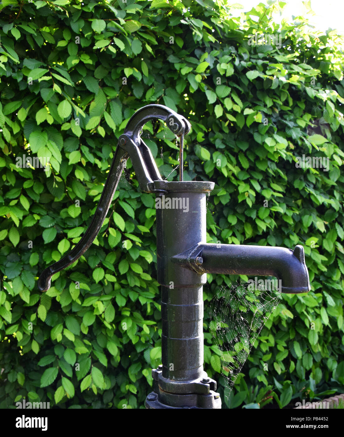 Old water pump with spiderweb and green bushes in the background ...