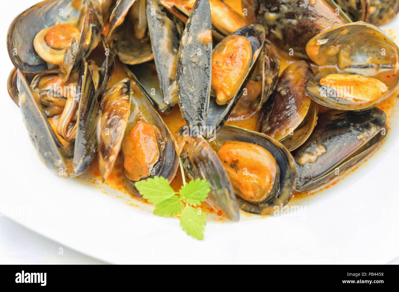 Mussels with open shells hi-res stock photography and images - Alamy