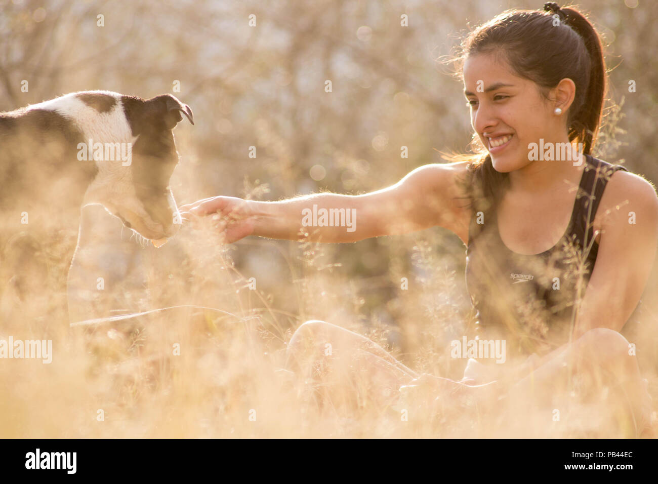 Beautiful girl dog hi-res stock photography and images - Alamy