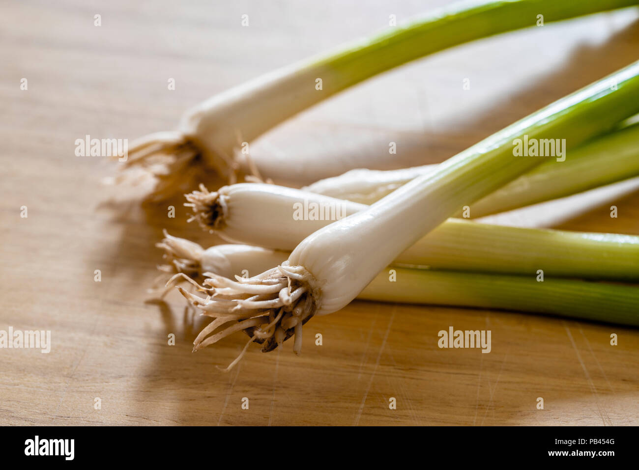 Chopping onion board hi-res stock photography and images - Alamy