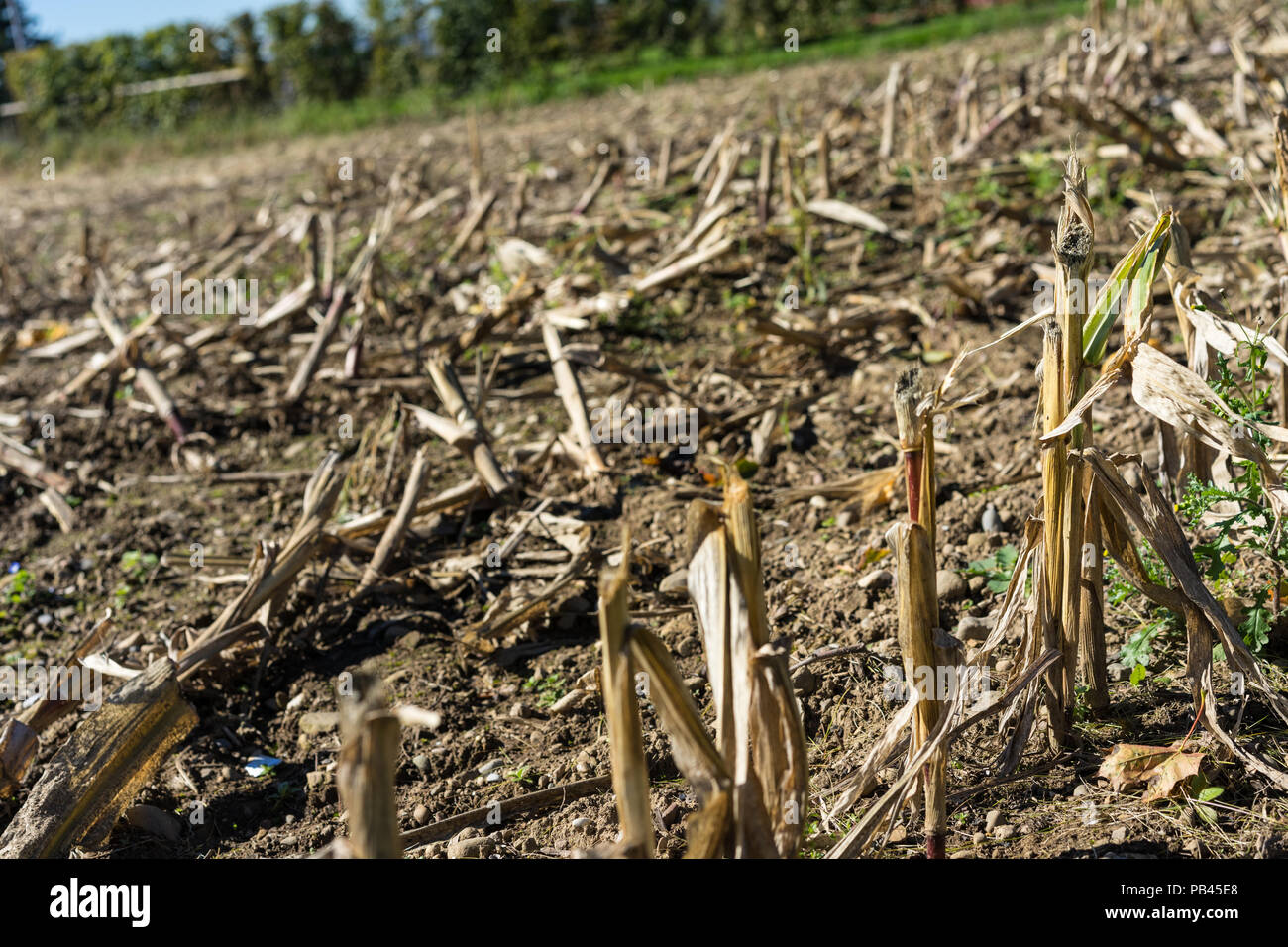 Need of rain hi-res stock photography and images - Alamy