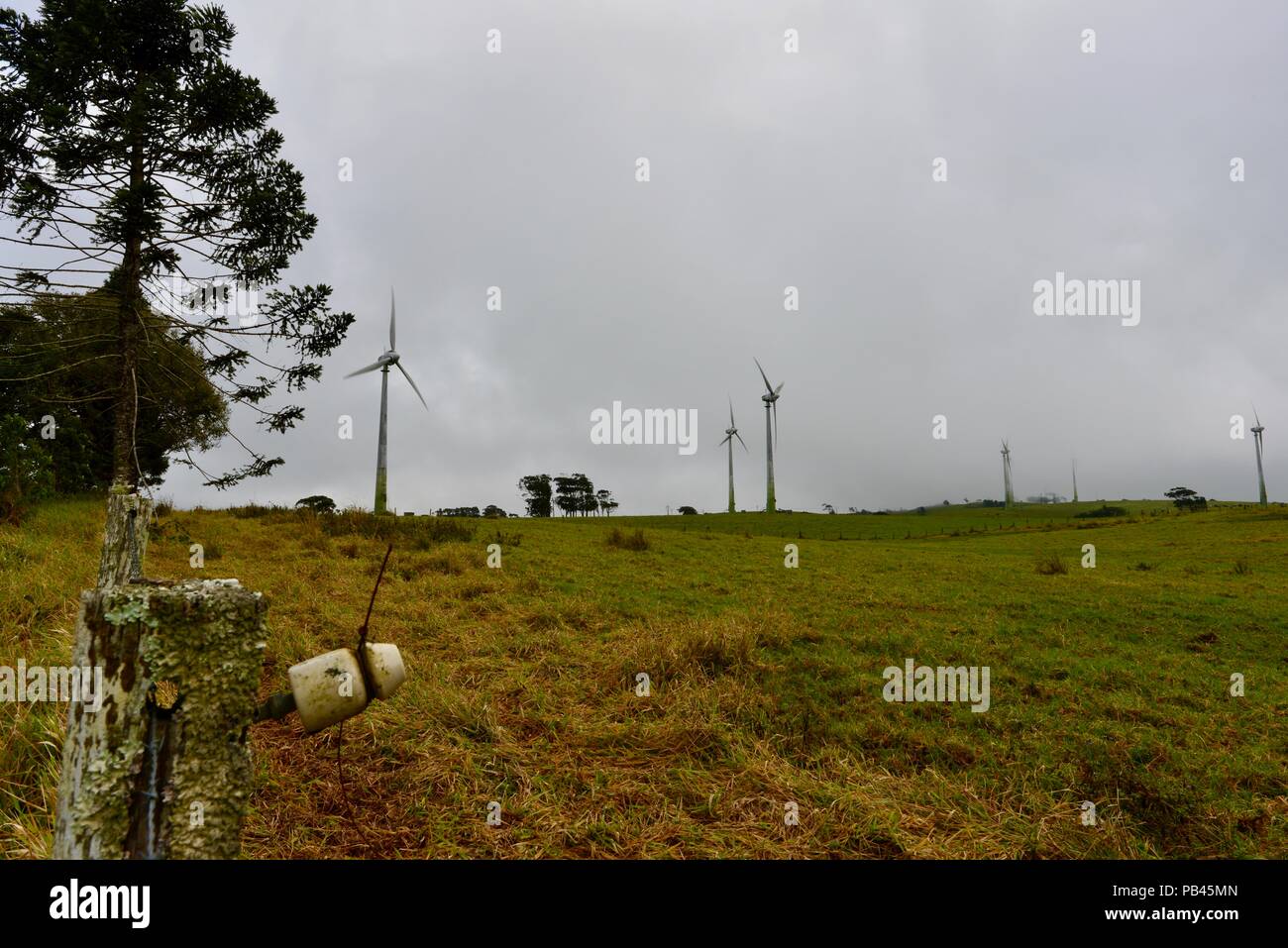 Wind turbines at WINDY HILL WIND FARM, RAVENSHOE, Atherton Tablelands ...