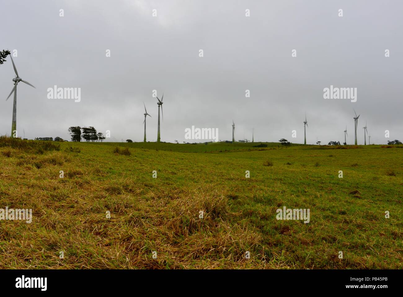 Wind turbines at WINDY HILL WIND FARM, RAVENSHOE, Atherton Tablelands ...