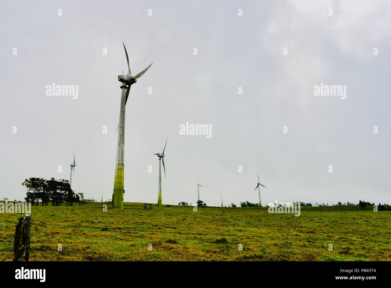 Wind turbines at WINDY HILL WIND FARM, RAVENSHOE, Atherton Tablelands ...