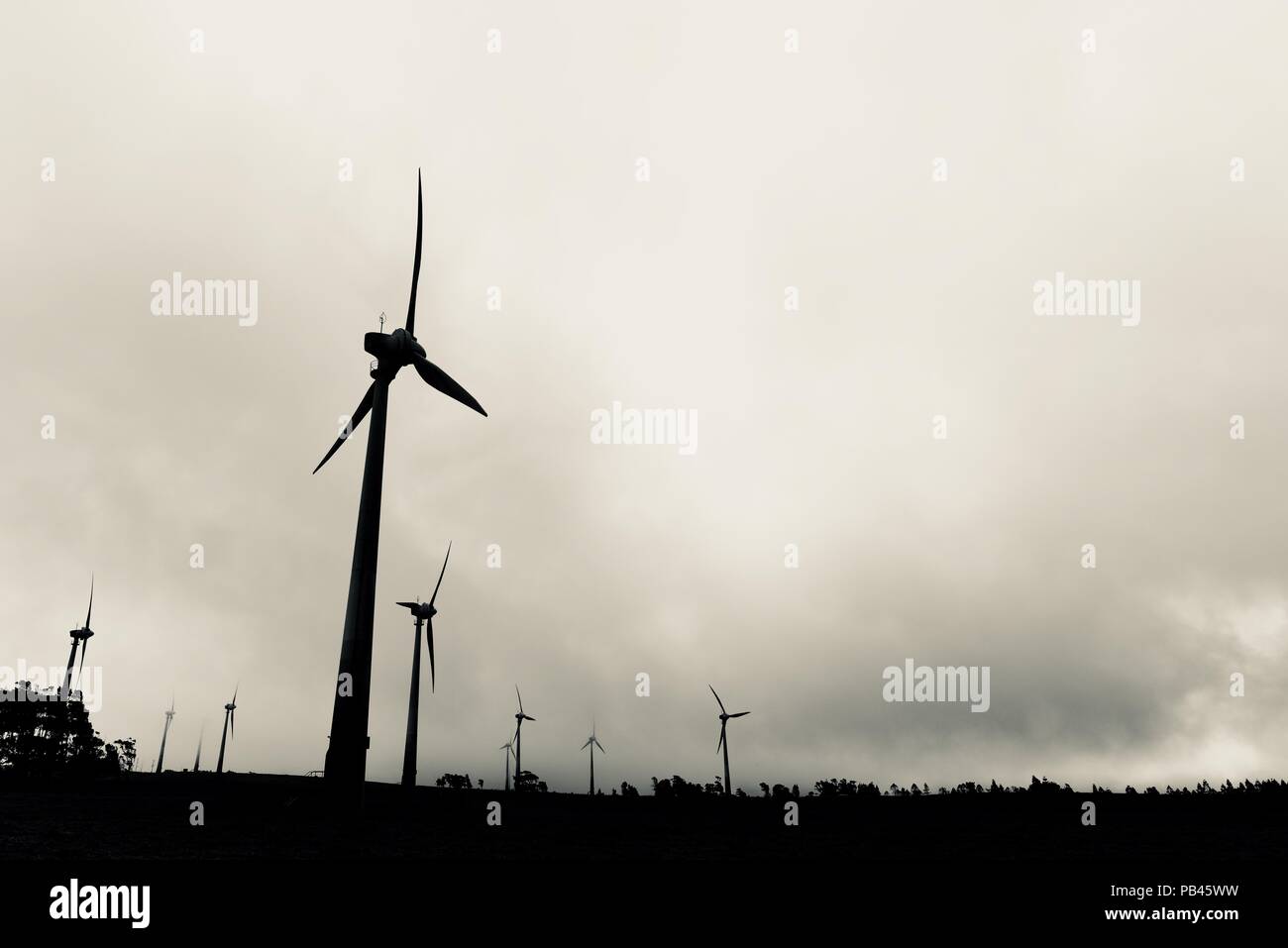 Wind turbines at WINDY HILL WIND FARM, RAVENSHOE, Atherton Tablelands ...