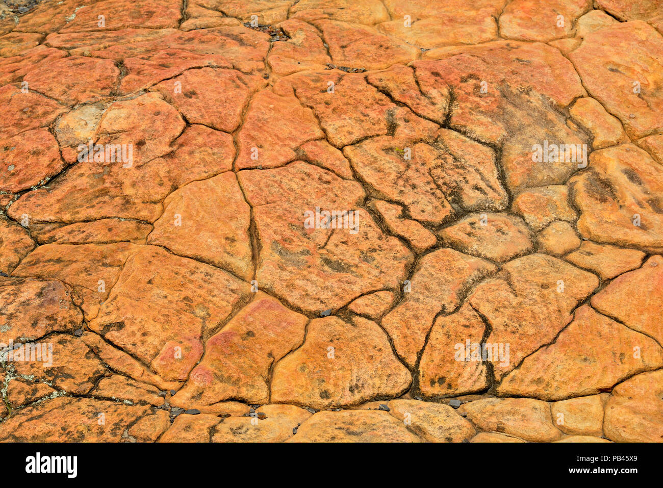 Weathered sandstone rocks, Petit Jean State Park, Arkansas, USA Stock ...
