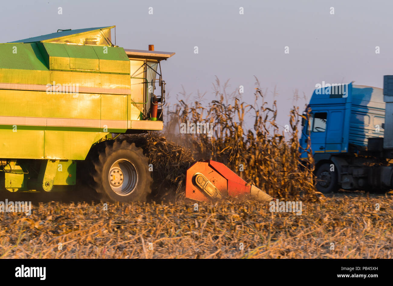 Harvesting of corn field with combine Stock Photo - Alamy