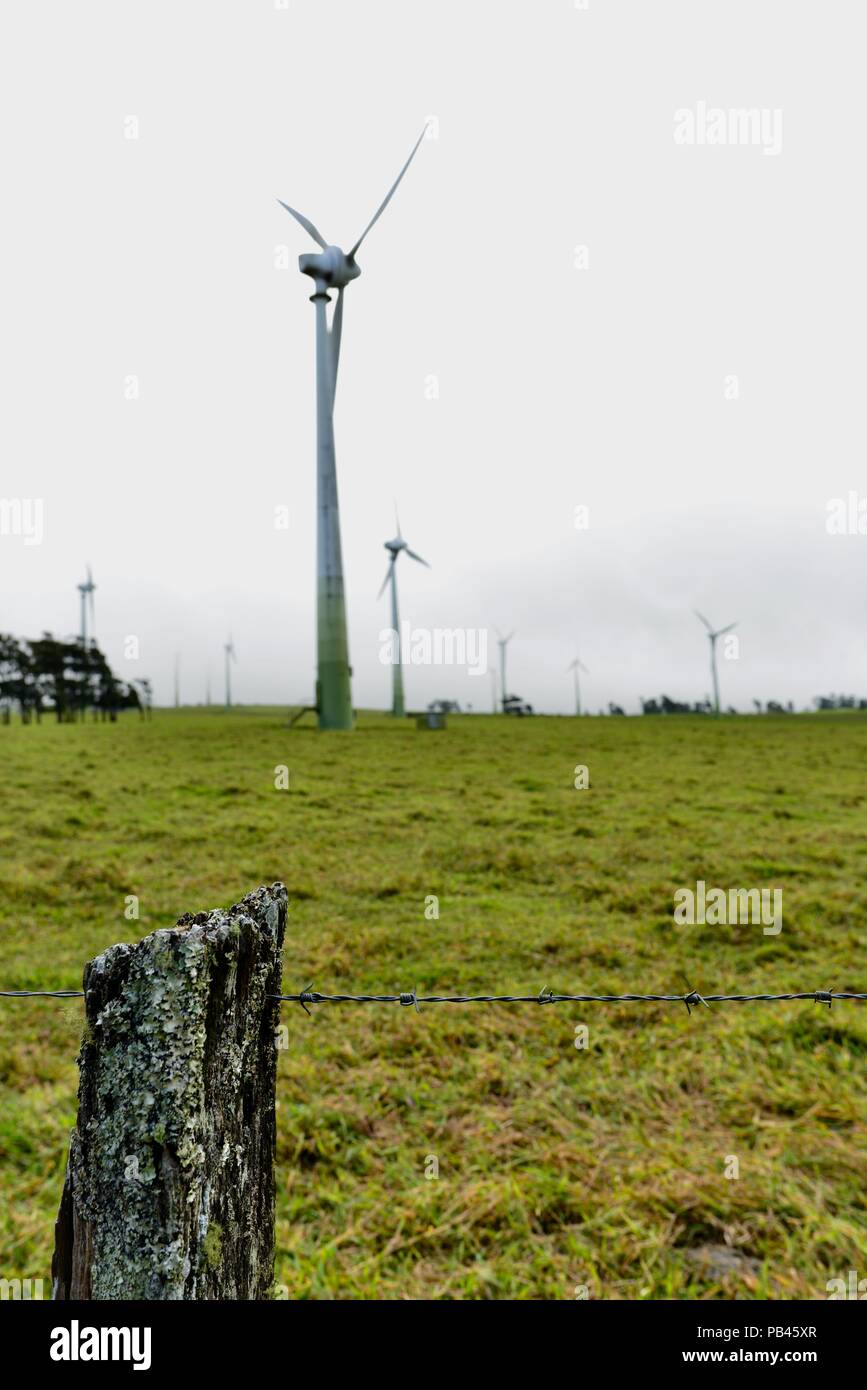 Atherton tablelands wind hi-res stock photography and images - Alamy