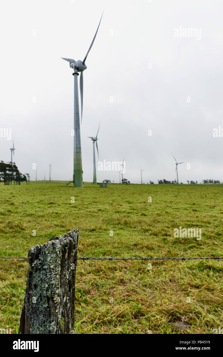 Wind turbines at WINDY HILL WIND FARM, RAVENSHOE, Atherton Tablelands ...